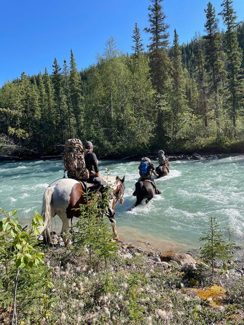 BC Hunting Information - Stone and Folding Mountain Outfitters