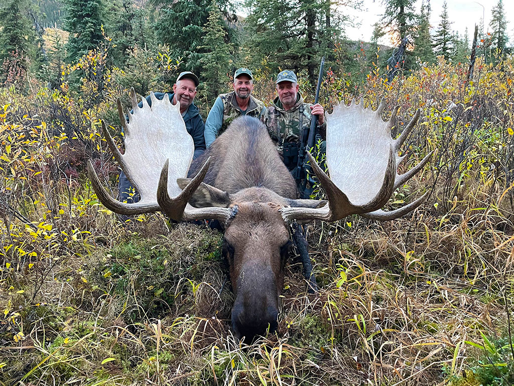 Canadian Moose - Stone and Folding Mountain Outfitters