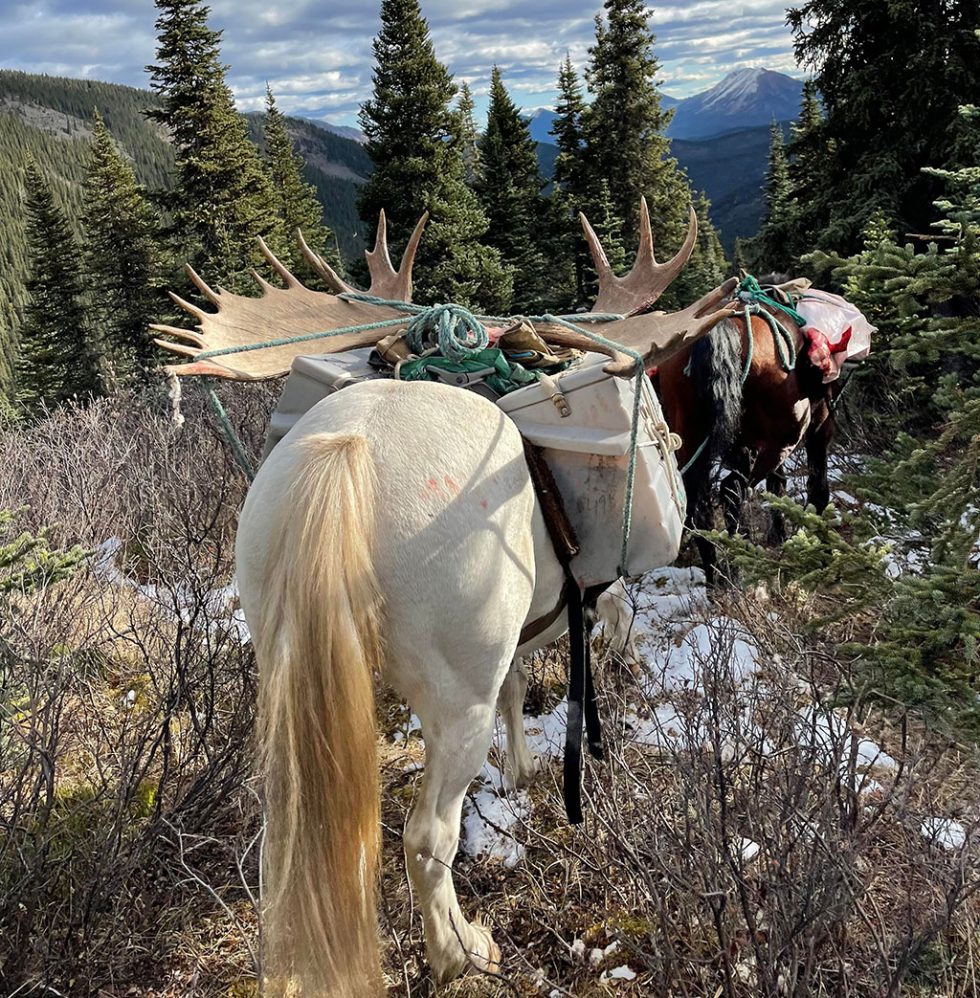 Gallery - Stone and Folding Mountain Outfitters