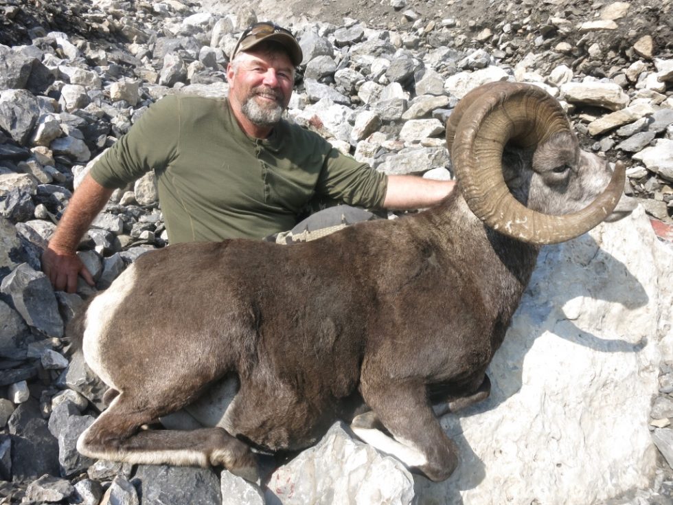 BC Stone Sheep Hunts - Stone and Folding Mountain Outfitters